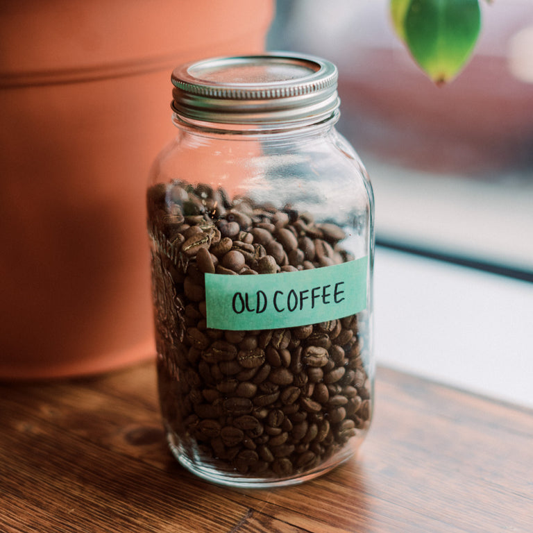 Coffee — Rogue Wave Coffee